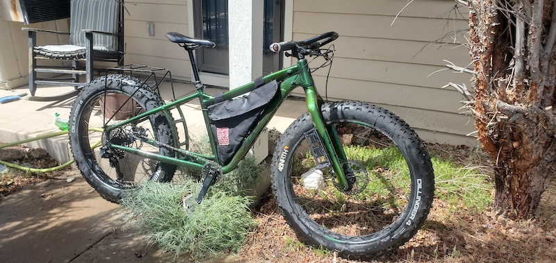 2020 Salsa Blackborow For Sale