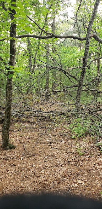 25th Year Anniversary Adams Farm NEMBA Ride Mountain Biking Route ...