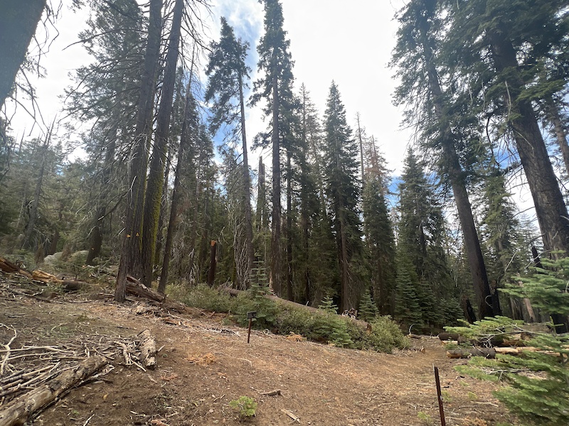 Alta Peak via Alta, Rimrock, Bear Hill, and Congress Trail | Trailforks