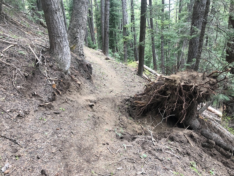 Upper Pipeline (GWT) Multi Trail - Millcreek, Utah