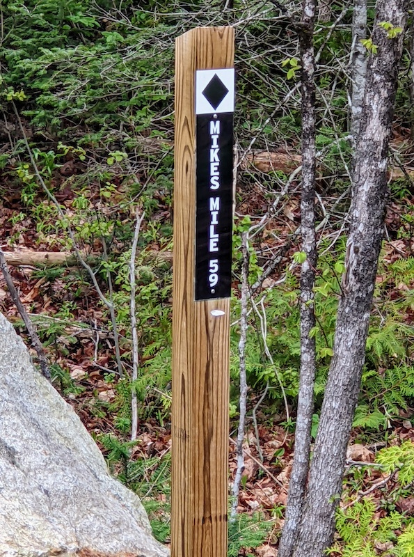 NEMBAfest 2022 - Ride No. 2 Mountain Biking Route | Trailforks