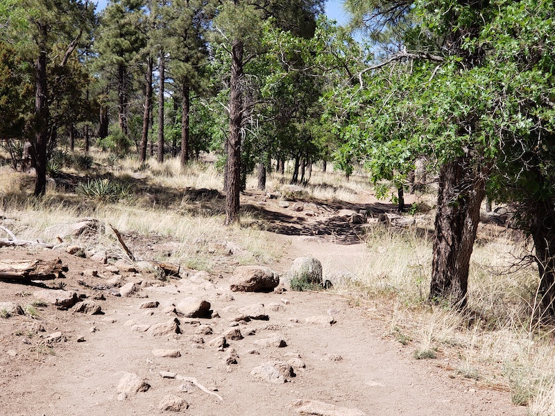 Fatmans Loop Trail Multi Trail - Flagstaff, Arizona