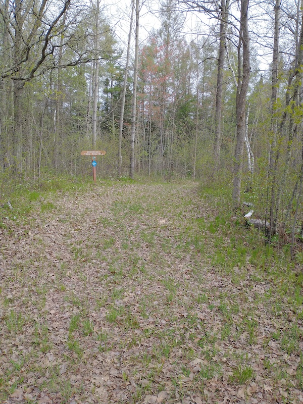 Larson Lake Forest Recreation Area Mountain Biking Trails | Trailforks