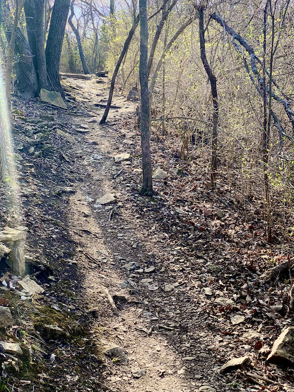 Hodge Park Mountain Biking Trails | Trailforks