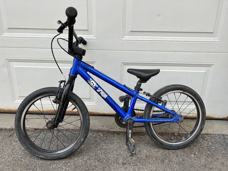 2016 Spawn Banshee 16” For Sale