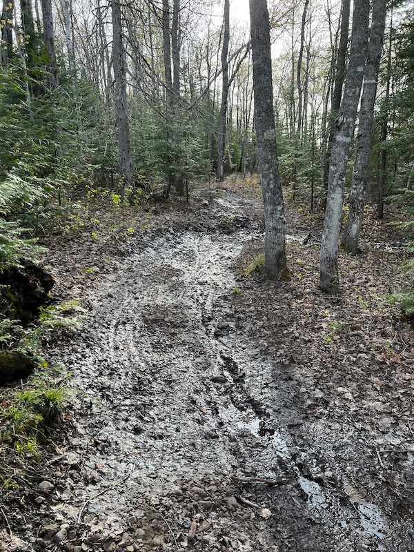 Trails Fest Long XC 2021 Mountain Biking Route | Trailforks