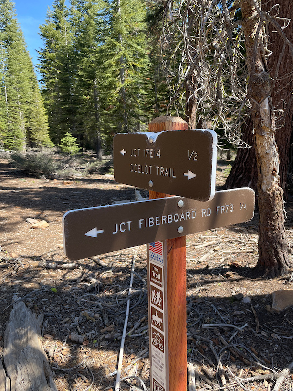 Old Ocelot Mountain Biking Trail - Tahoe City, California