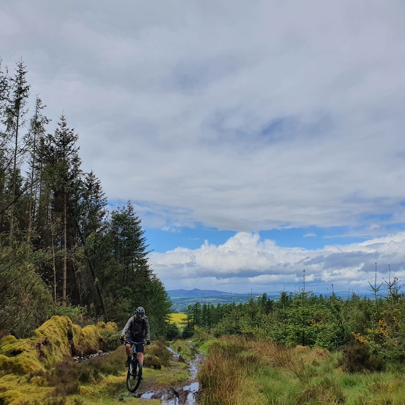 Trail Hiking Trail - Kirkhill Forest, Aberdeen