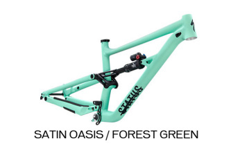 2021 Specialized Status 140 Frameset S3 For Sale