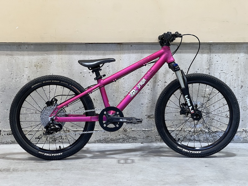 2017 Spawn Savage 2.0 Kid MTB For Sale
