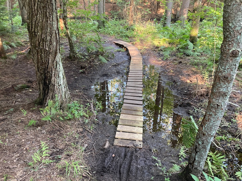 The Wedge Mountain Biking Trail - Belchertown, MA
