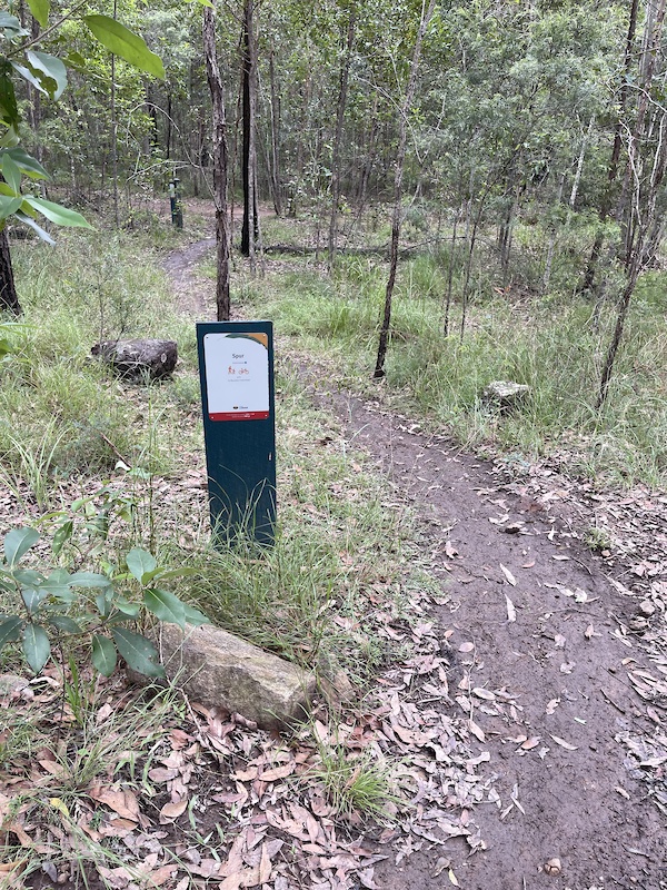 Spur Mountain Biking Trail - Spring Mountain, Logan