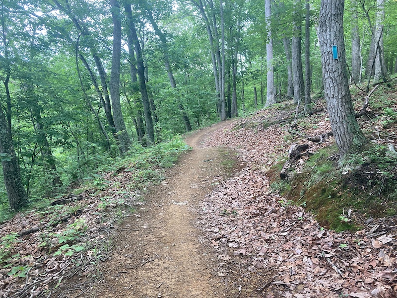 Bear Bottom Loop Mountain Biking Trail - Front Royal