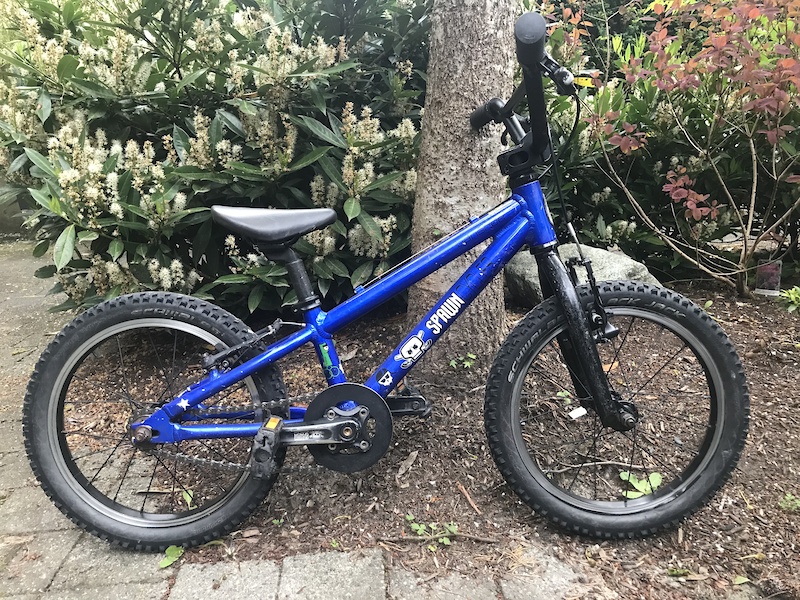 2015 Spawn Banshee 16" For Sale