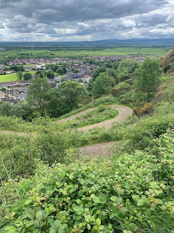 Menstrie Glen Mountain Biking Trails | Trailforks