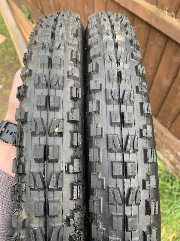 2022 Pair of Maxxis minion dhf 27.5 x 2.5 wt 3c For Sale