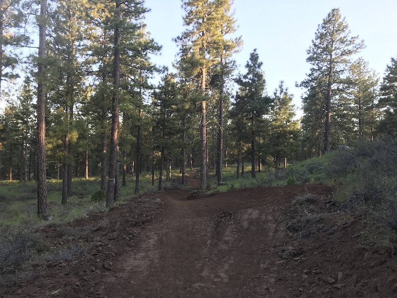Blue Jump Line- Naneum Ridge Mountain Biking Trail - Ellensburg