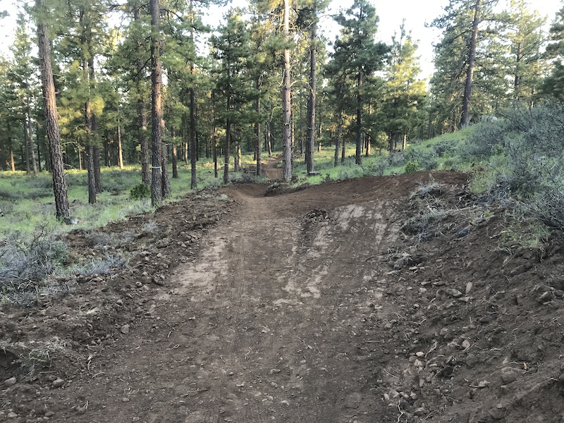 Blue Jump Line- Naneum Ridge Mountain Biking Trail - Ellensburg