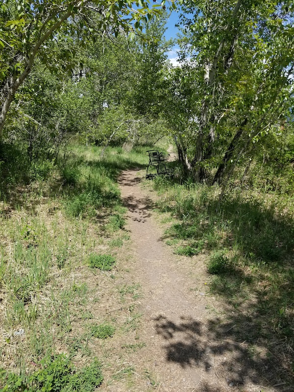 Memorial 14 st to Louise bridge south Multi Trail - Calgary, AB
