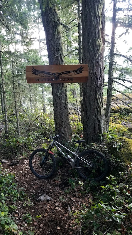 Vulture Ridge Mountain Biking Trail - Port Angeles