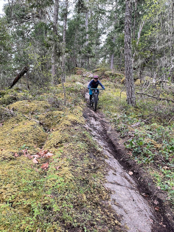 Vulture Ridge Mountain Biking Trail - Port Angeles