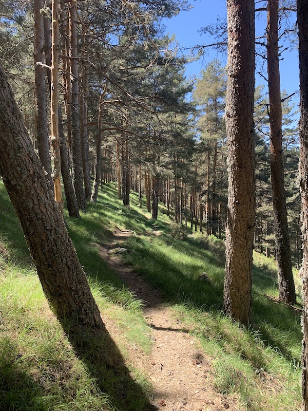 Pozos de Nieve Multi Trail - San Lorenzo del Escorial