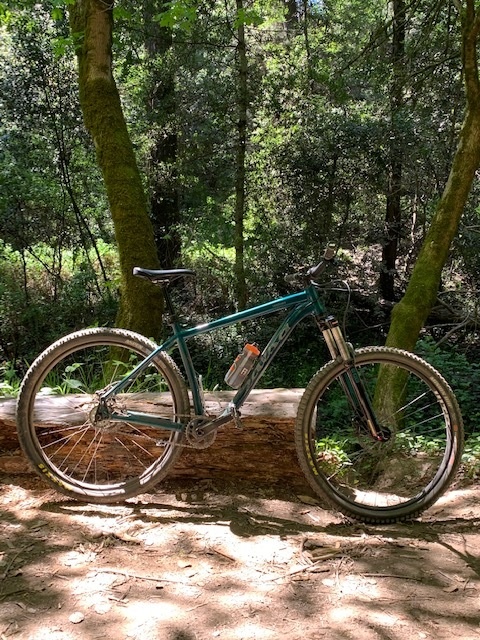 2019 Salsa Timberjack For Sale