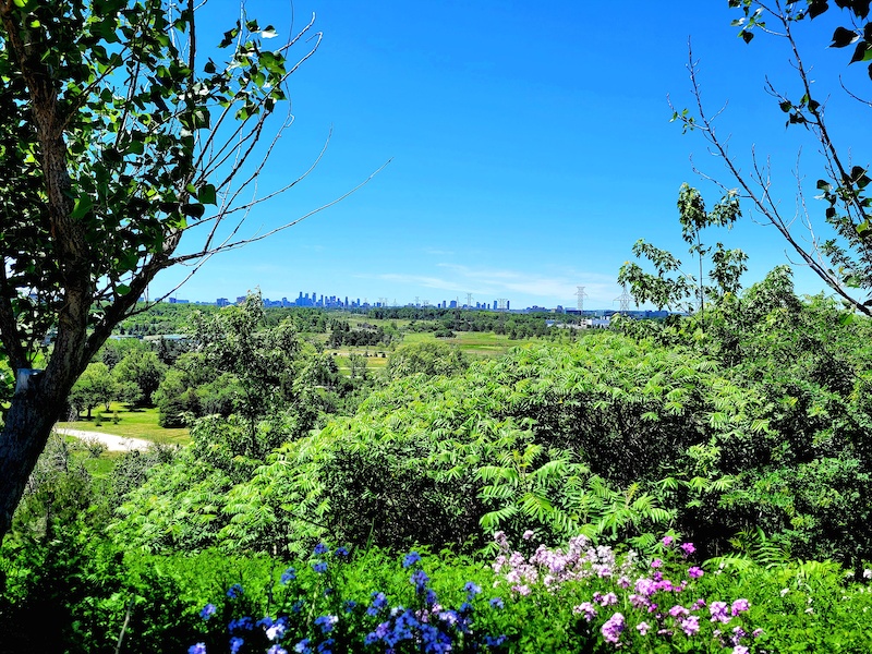 Centennial Park Circuit Multi Trail - Etobicoke, Ontario