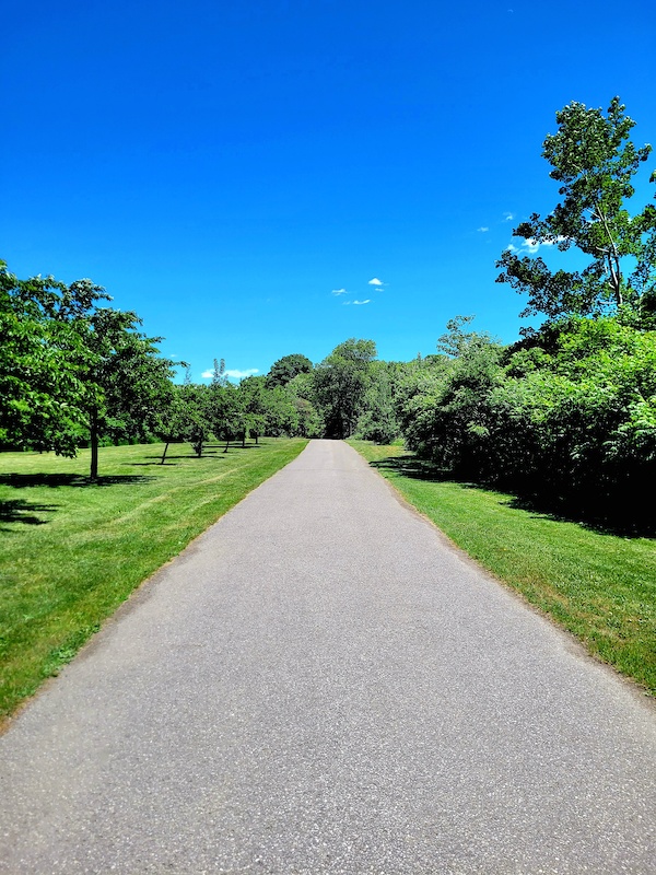 Centennial Park Circuit Multi Trail - Etobicoke, Ontario