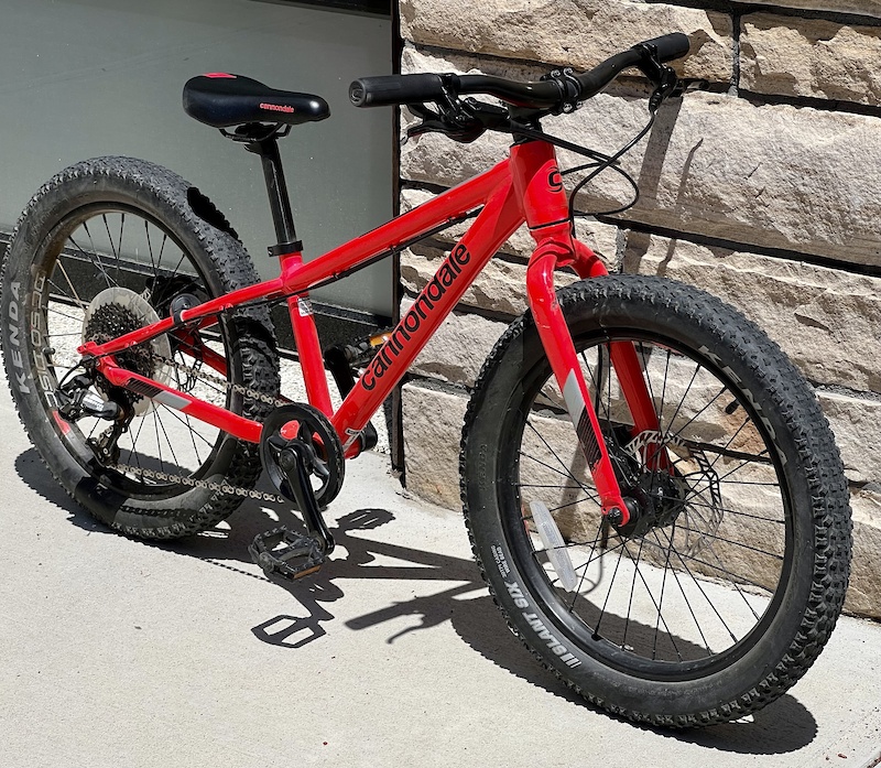 2020 Cannondale Kids Cujo Race 20+ For Sale