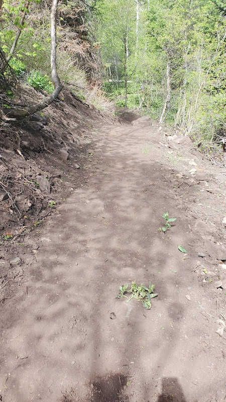 Longer Loop Multi Trail - North Fork Park, Eden, Utah