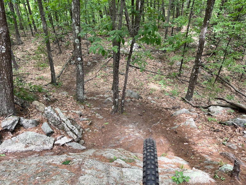 BCT Bike Route- Official Mountain Biking Route | Trailforks