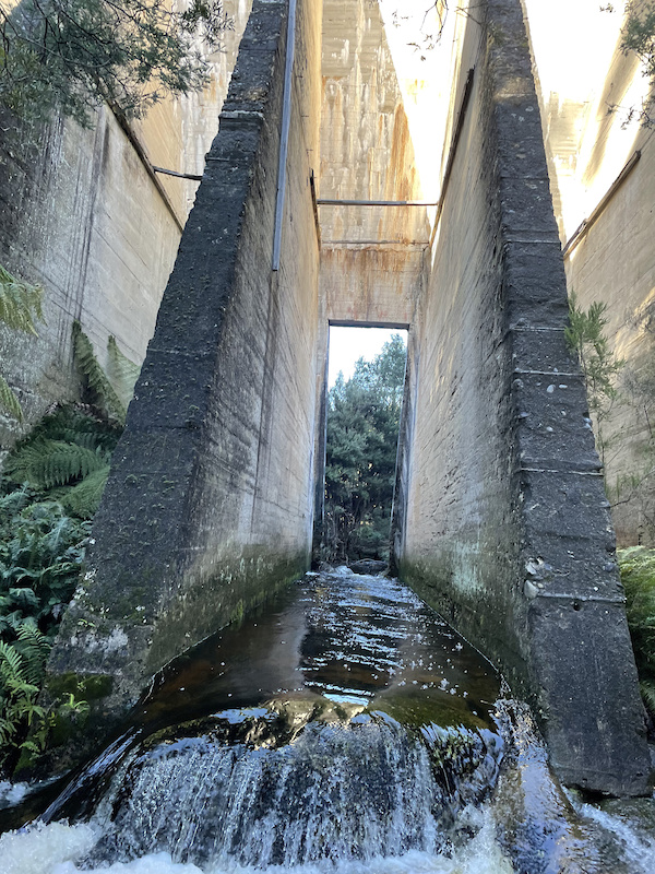 Mt Paris Dam Loop Multi Trail - Tasmania | Trailforks