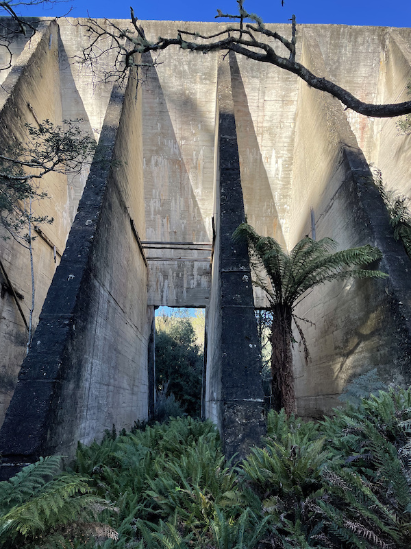 Mt Paris Dam Loop Multi Trail - Tasmania | Trailforks