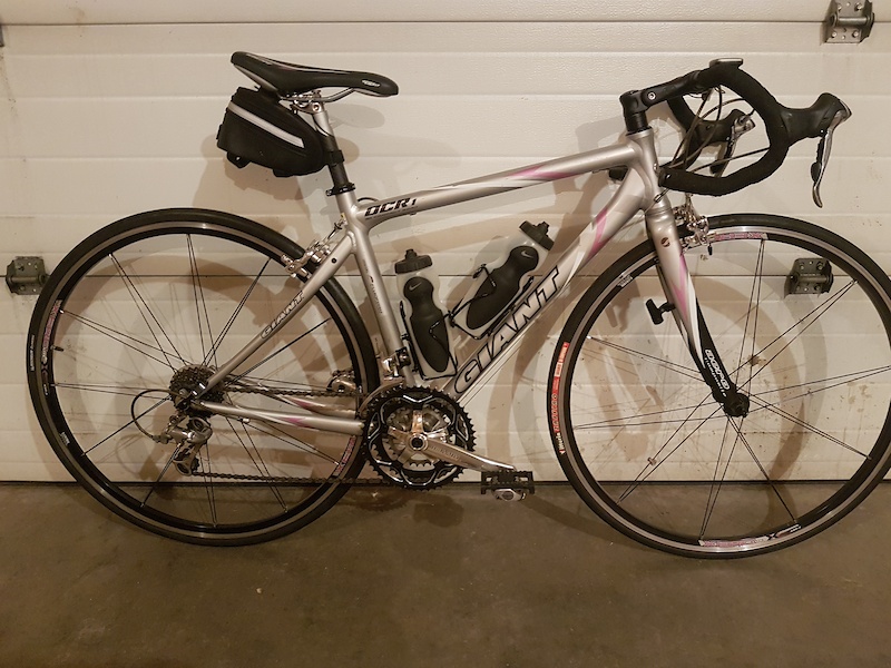 2005 Giant OCR composite 1 For Sale