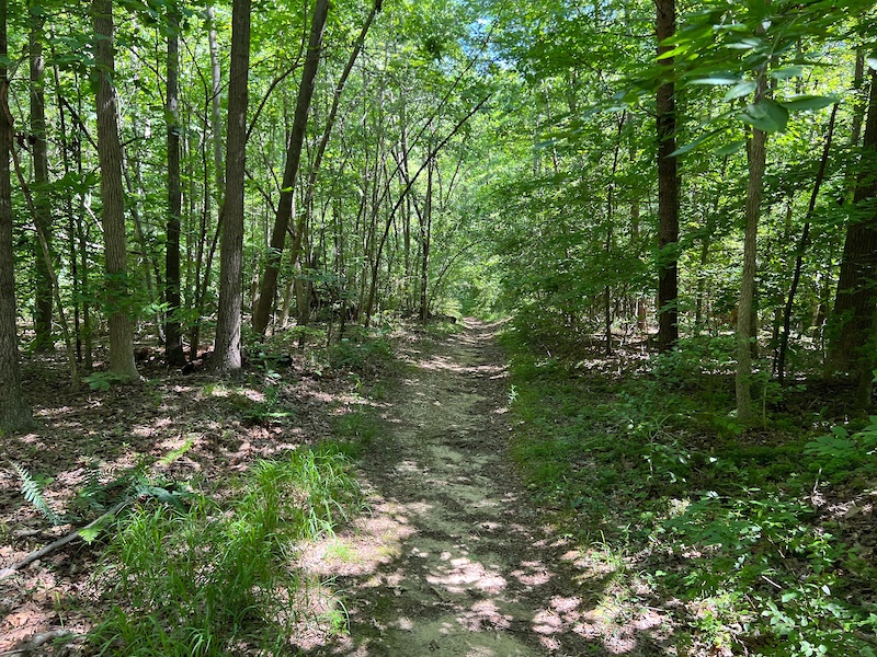 Blue Loop Mountain Biking Trail - Cedarville, Maryland