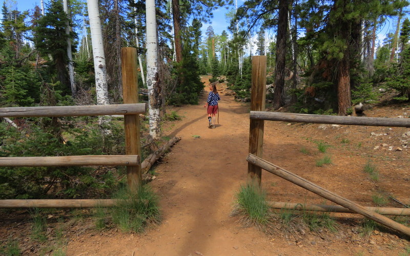 Duck Creek Ice Cave Multi Trail - Brian Head, Utah