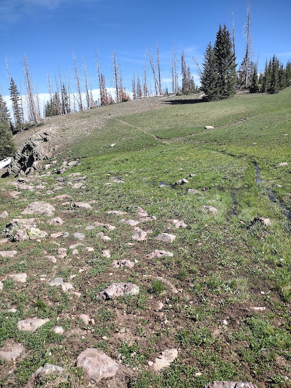 Lowder Creek Mountain Biking Trail - Brian Head, Utah