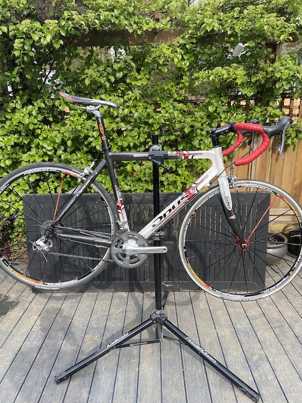 2008 Opus Staccato (56cm) For Sale