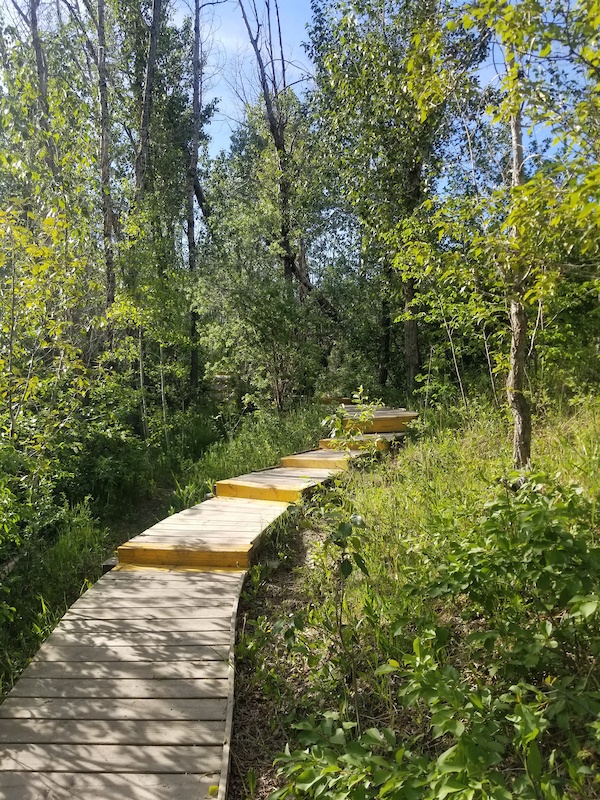 Waterfall Valley Hiking Trail - Calgary, Alberta