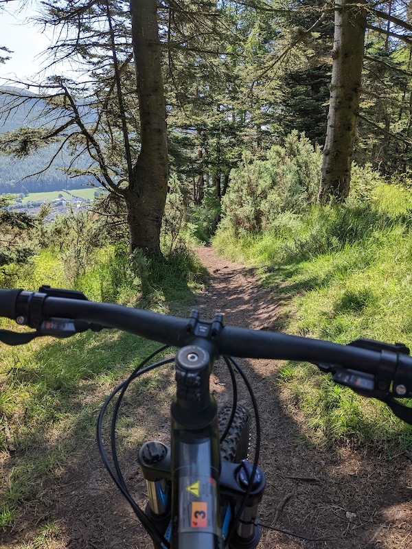FSR Test Track Mountain Biking Trail - Rostrevor