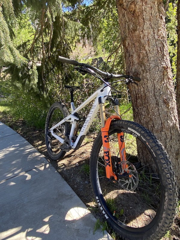 2021 Large Canyon Strive CFR For Sale