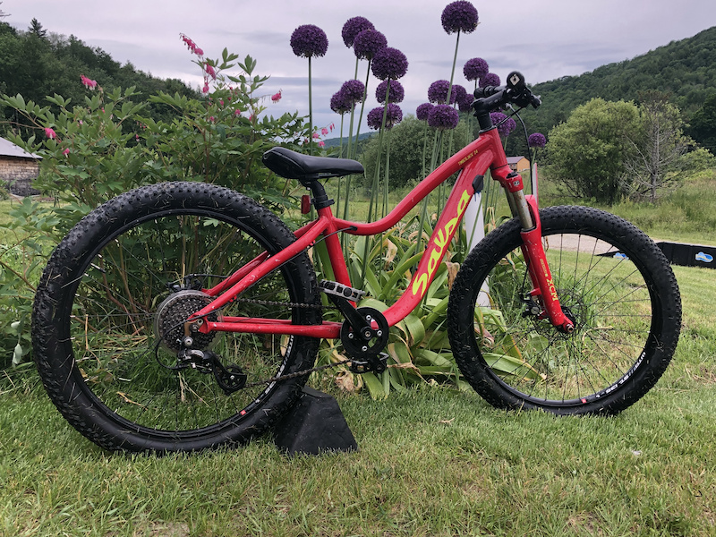 2020 Salsa Timberjack 24" For Sale