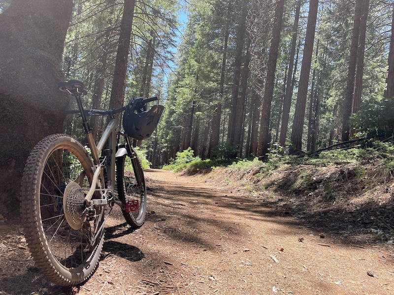 Sly Park: Jenkinson loop + Fleming Meadow loop + Bumpy Meadows Downhill ...