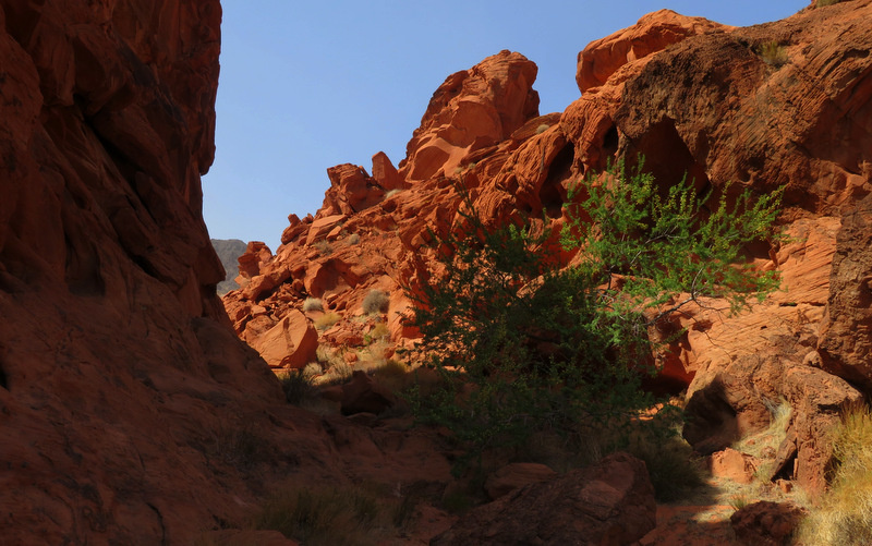 Redstone Dune Loop Trail Hiking Trail - Boulder City
