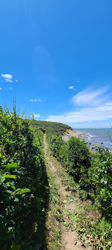Hither Hills State Park, Montauk Mountain Biking Trails | Trailforks
