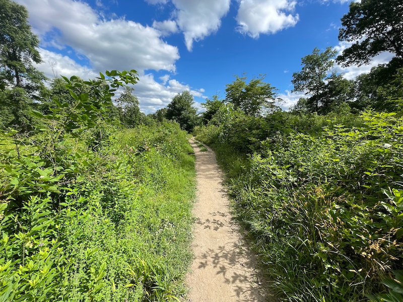 Meadows to Forbidden Multi Trail - Philadelphia, PA