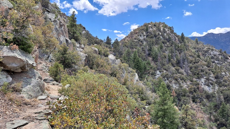 Ladybug Shuttle Route Mountain Biking Route | Trailforks