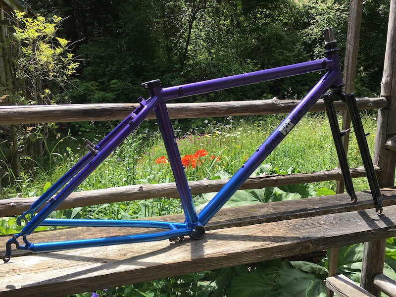 Yo eddy team Fat Chance Saphire fade 94-95’ Small For Sale