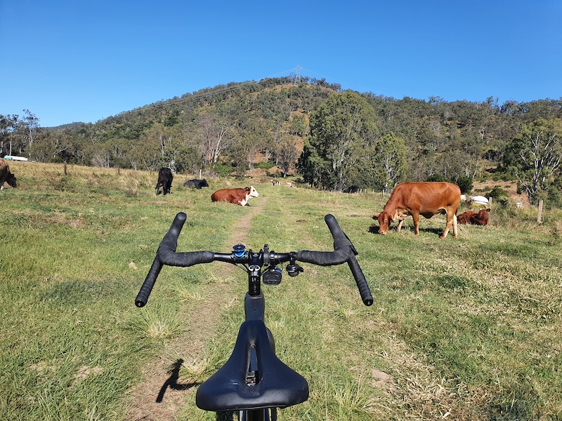 BVRT Linville to Benarkin Multi Trail - | Trailforks